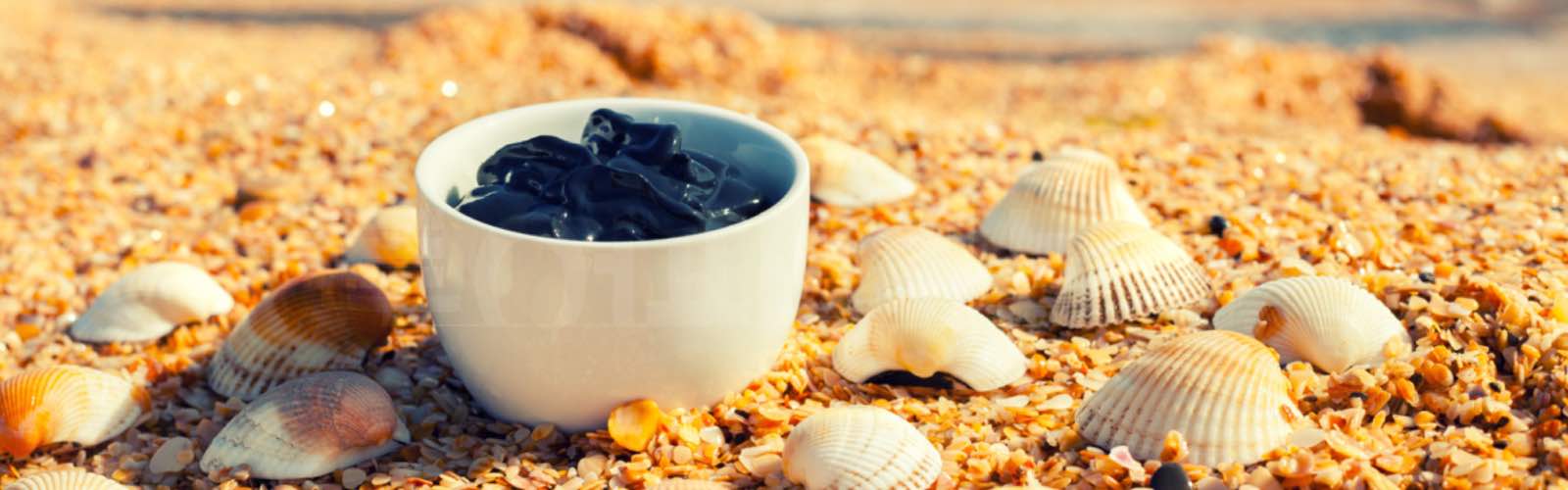 이벤트 마닐라포유 마닐라 자유여행사 마닐라 골프장과 렌트카 데이투어 일일투어를 저렴하게 By 투어파이브투엔티파이브